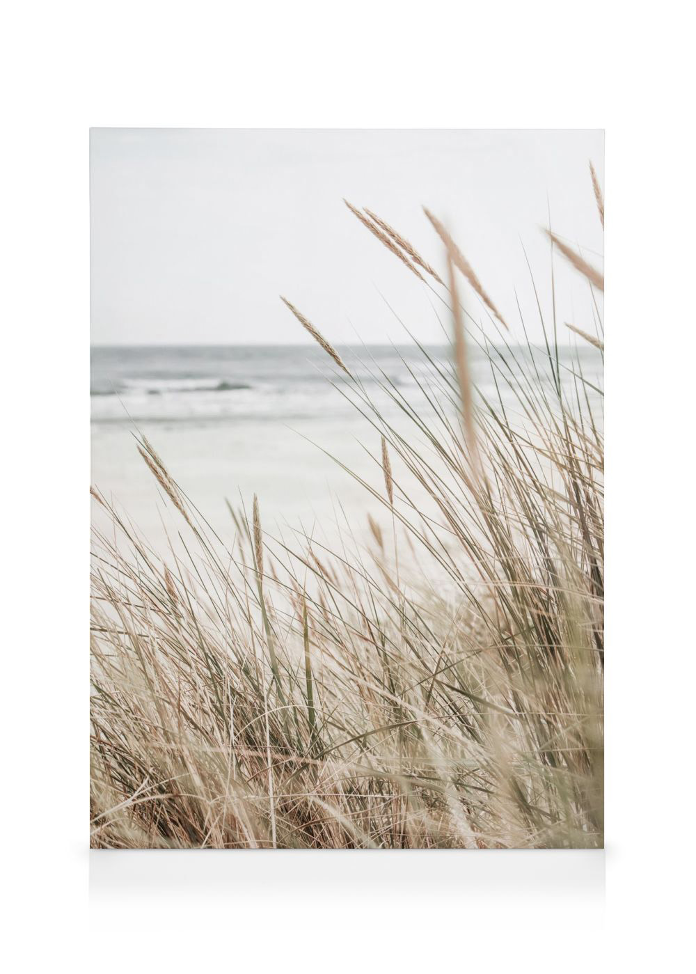 Beachy Reeds Toile océan en toile beige | Poster Store FR