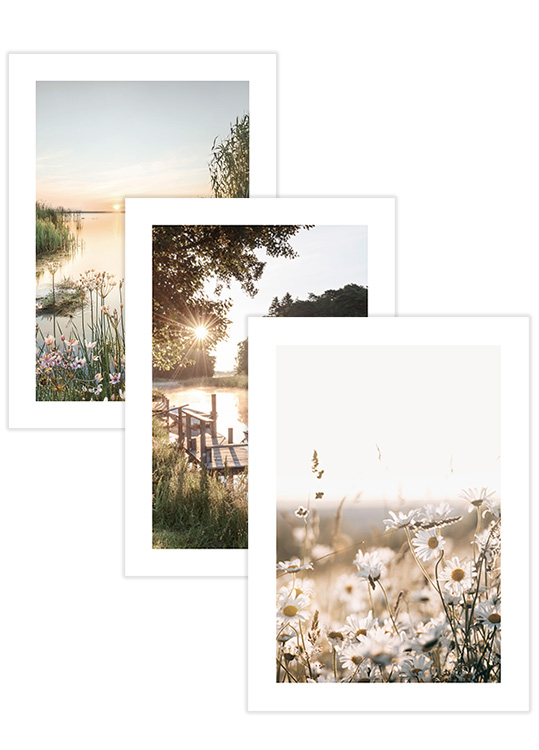 Summer Trio Poster Pack with warm tones | Poster Store US