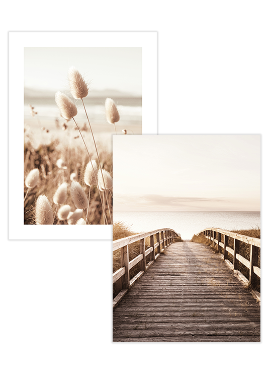 Calmness Duo Poster Pack Beige Nature Poster | Poster Store NZ