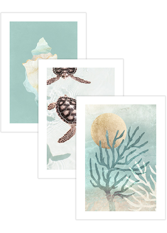 Graphic Beach Poster pack | Poster Store UK