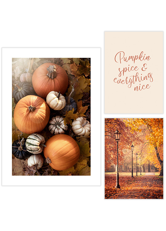 Pumpkin Poster Pack Autumn Decor Poster | Poster Store AU