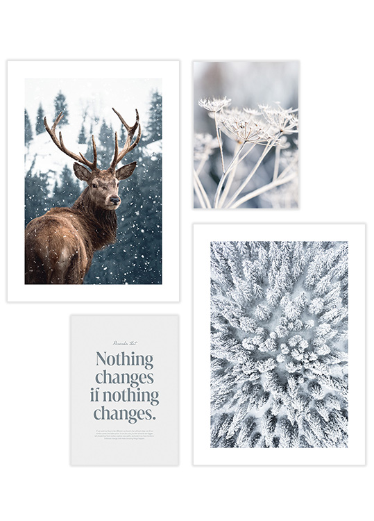 Winter Lot de posters muraux | Poster Store FR