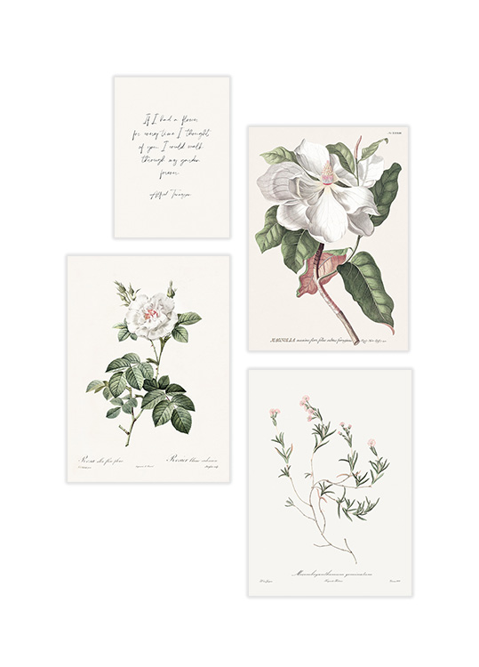 Vintage Flower Poster pack botanical illustration | Poster Store UK