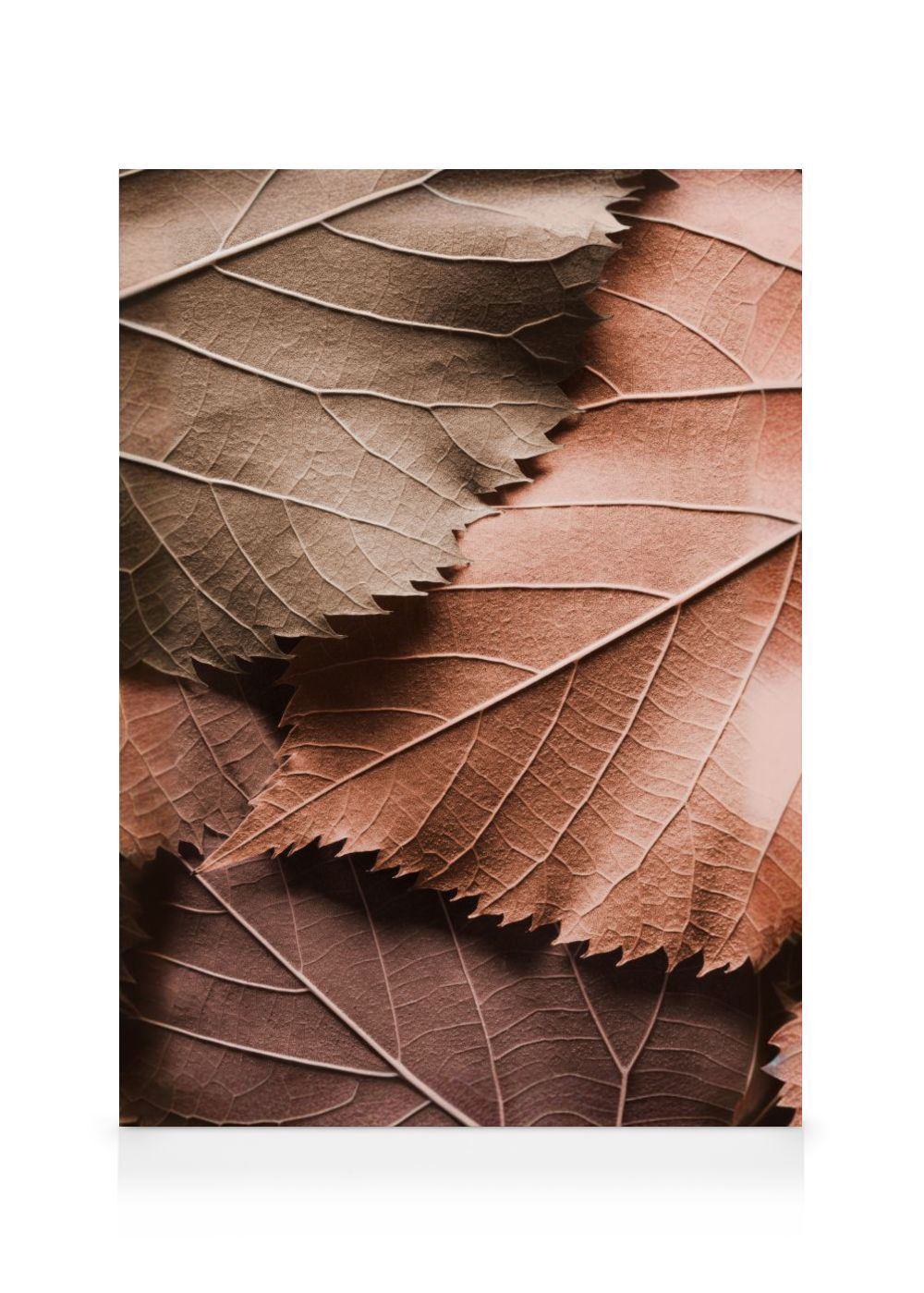 Toile Feuilles Marron feuillage marron | Poster Store FR