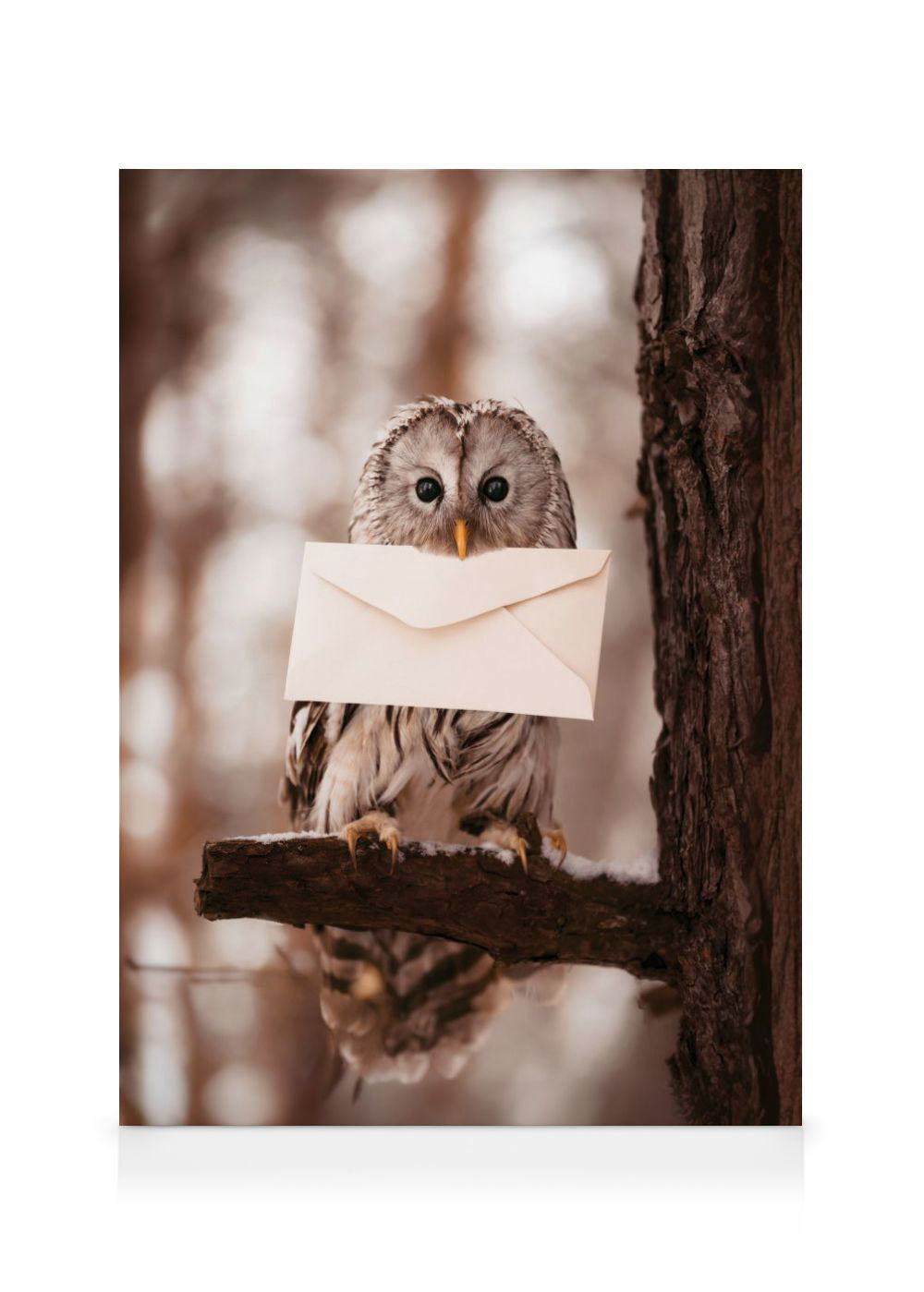 Letter Uil Natuur Canvas | Poster Store NL