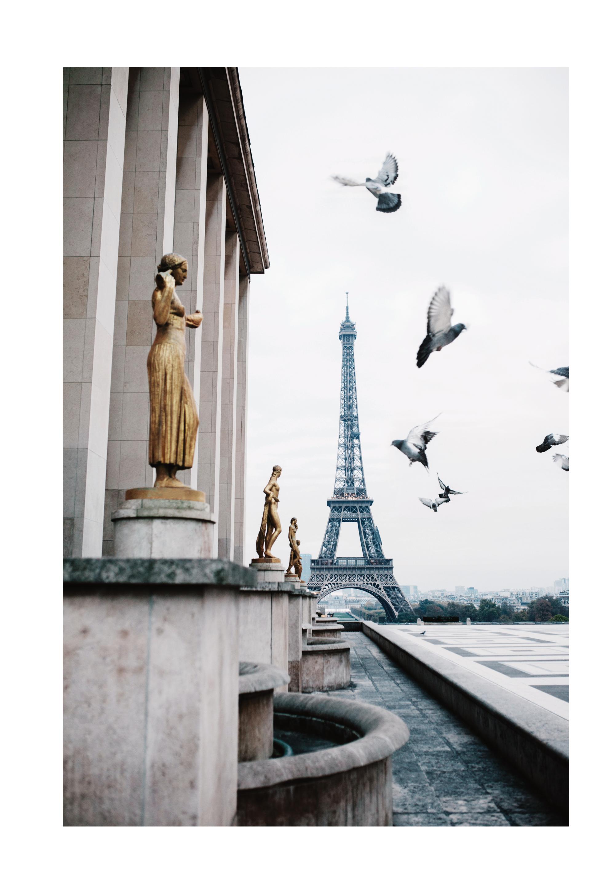 Eiffeltårnet og Flyvende Fugler Paris fotoposter | Poster Store NO