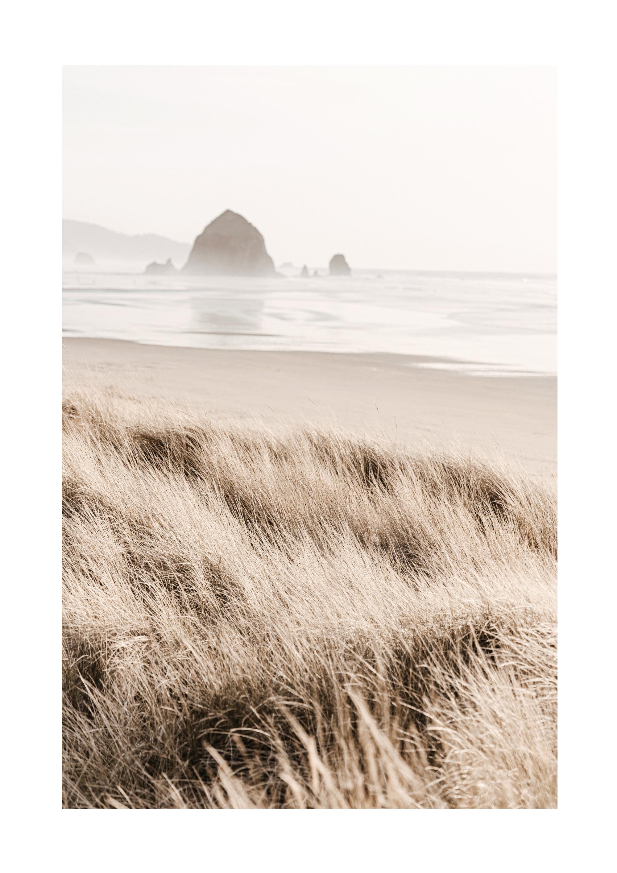 Plage matinale Affiche | Atmosphère sereine de plage en poster | Poster ...