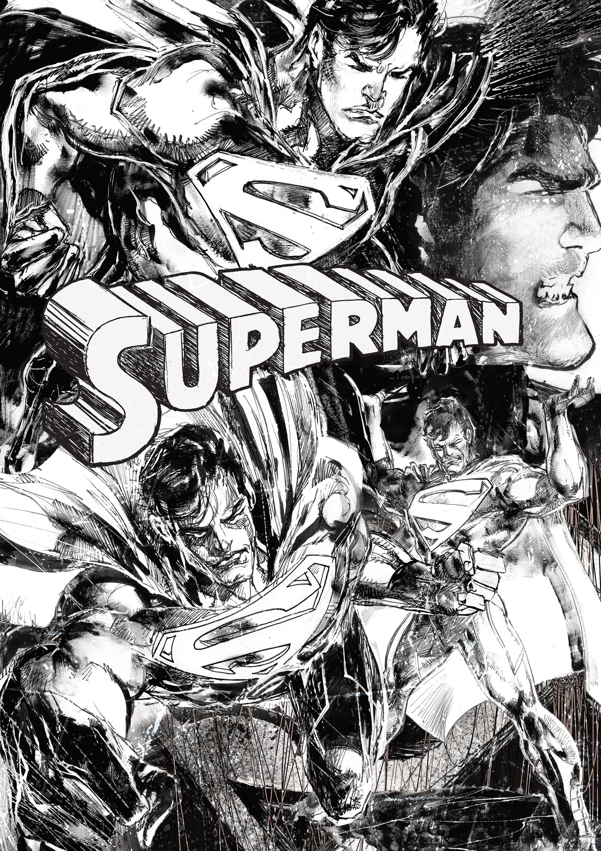 Superman™ - Sketches superheld poster | Poster Store NL