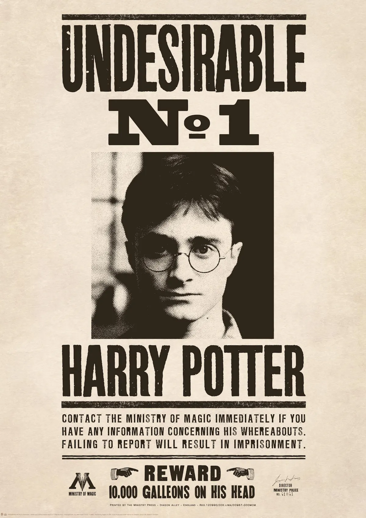 Shoppe Harry Potter™ Poster online – Posterstore.de