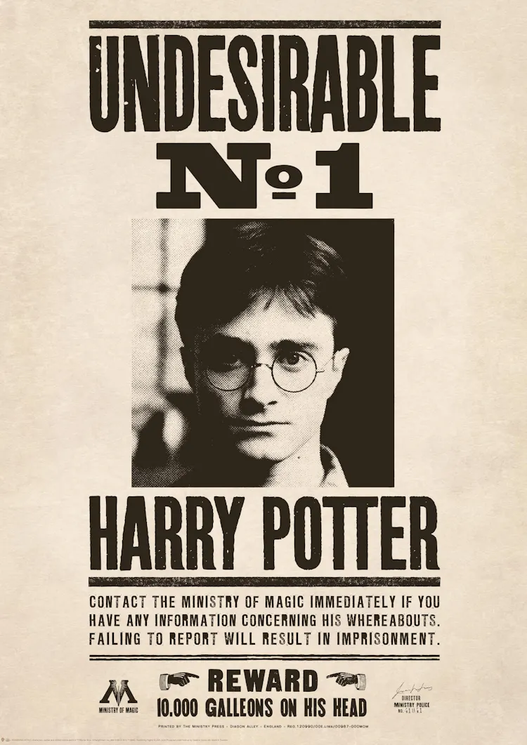 Shoppe Harry Potter™ Poster online – Posterstore.de
