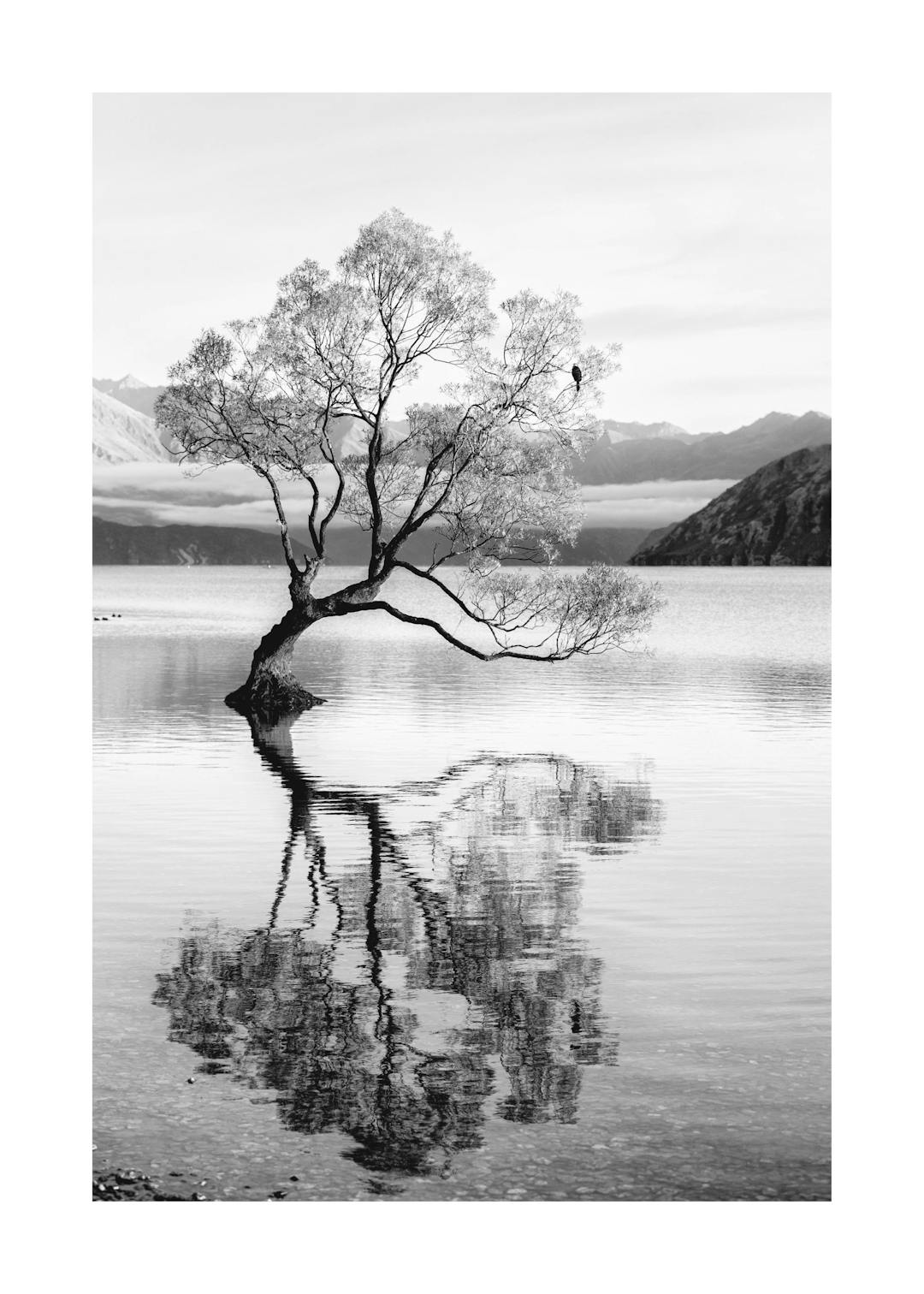 Stillness Poster | Lake Wall Decor Misty Serene | Tranquil Art by ...