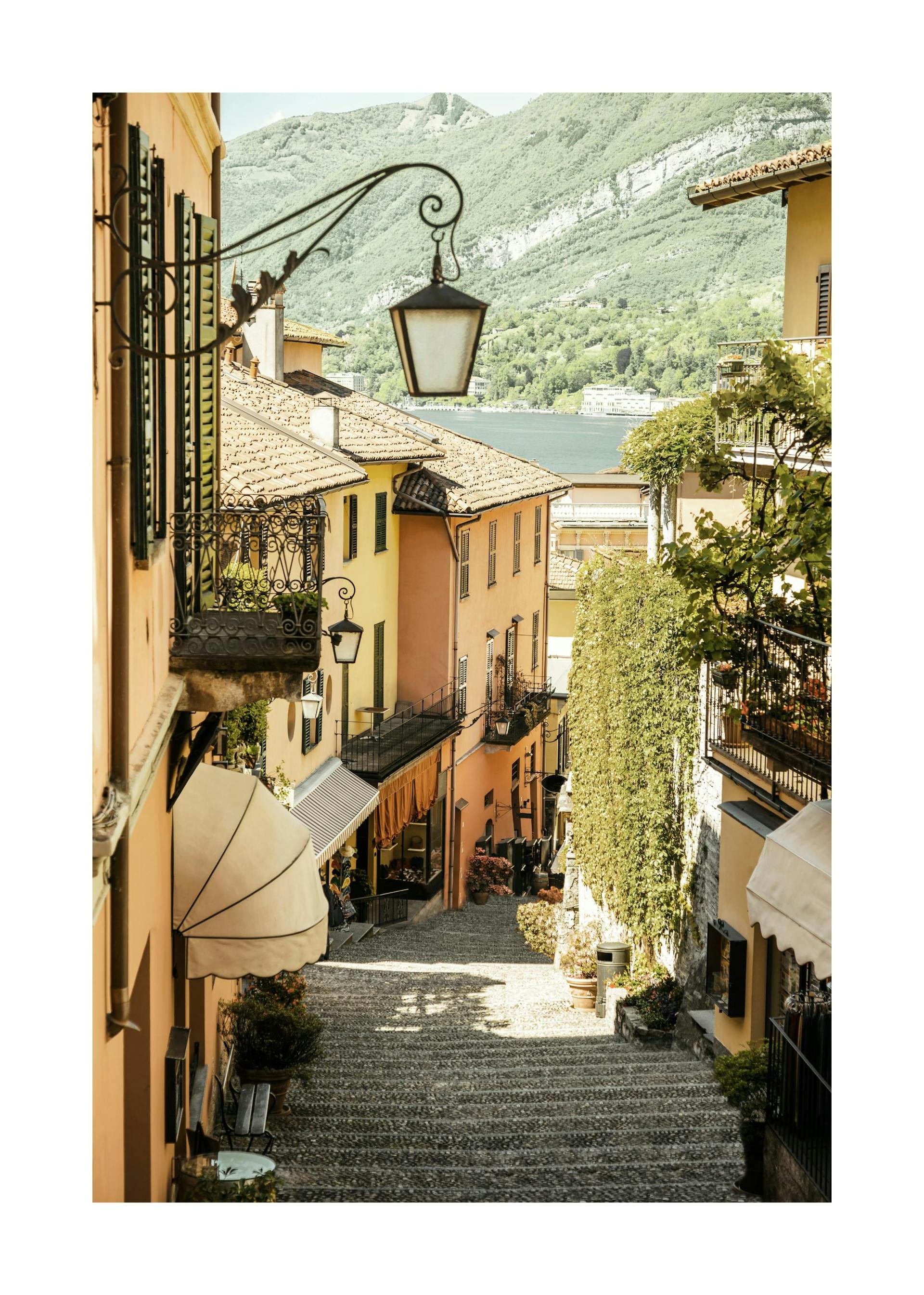 Wanaka Tree Poster | Friedlicher Baum im Wasser Kunstdruck | Poster ...