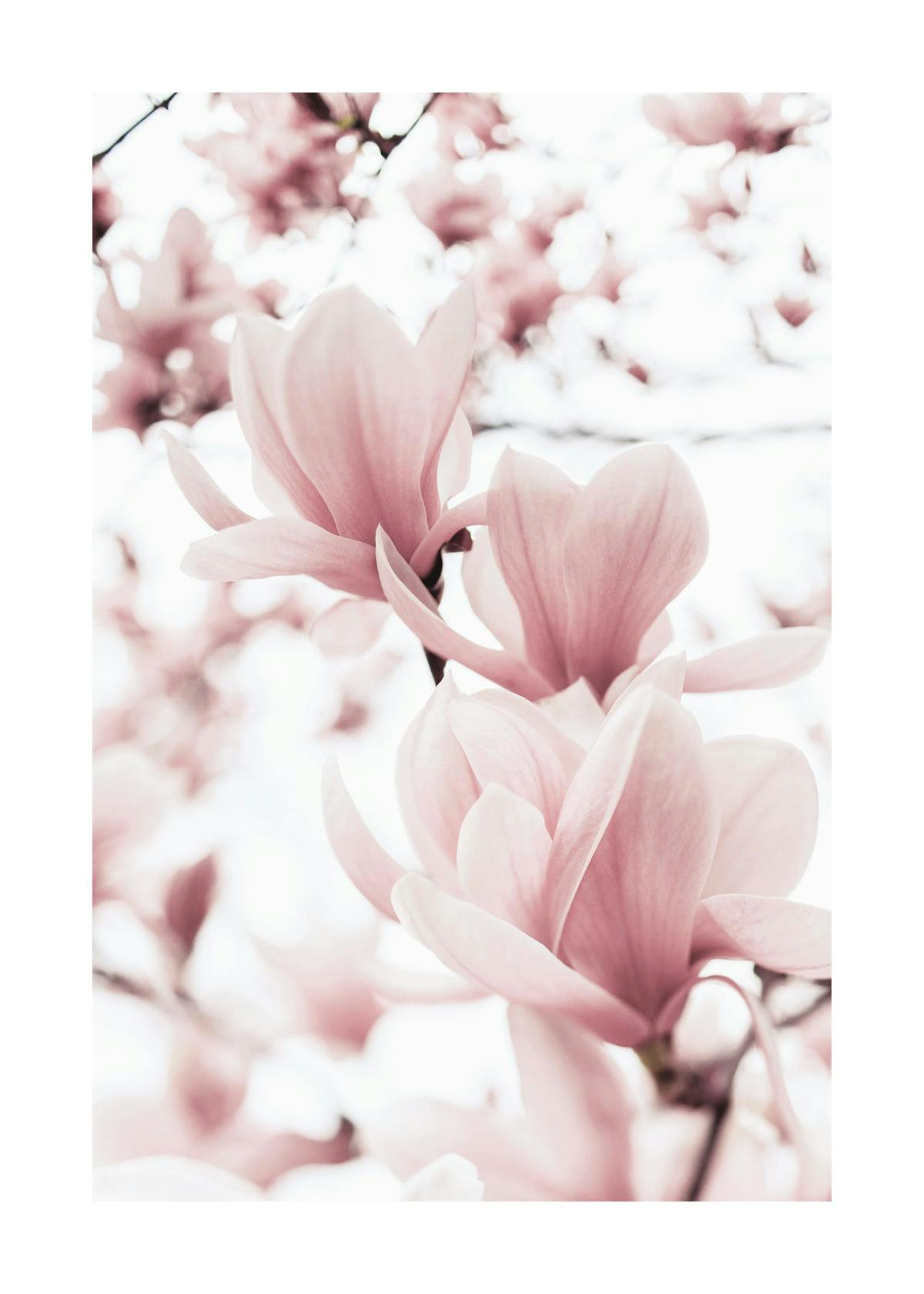 Love Posters - Buy romantic love prints online