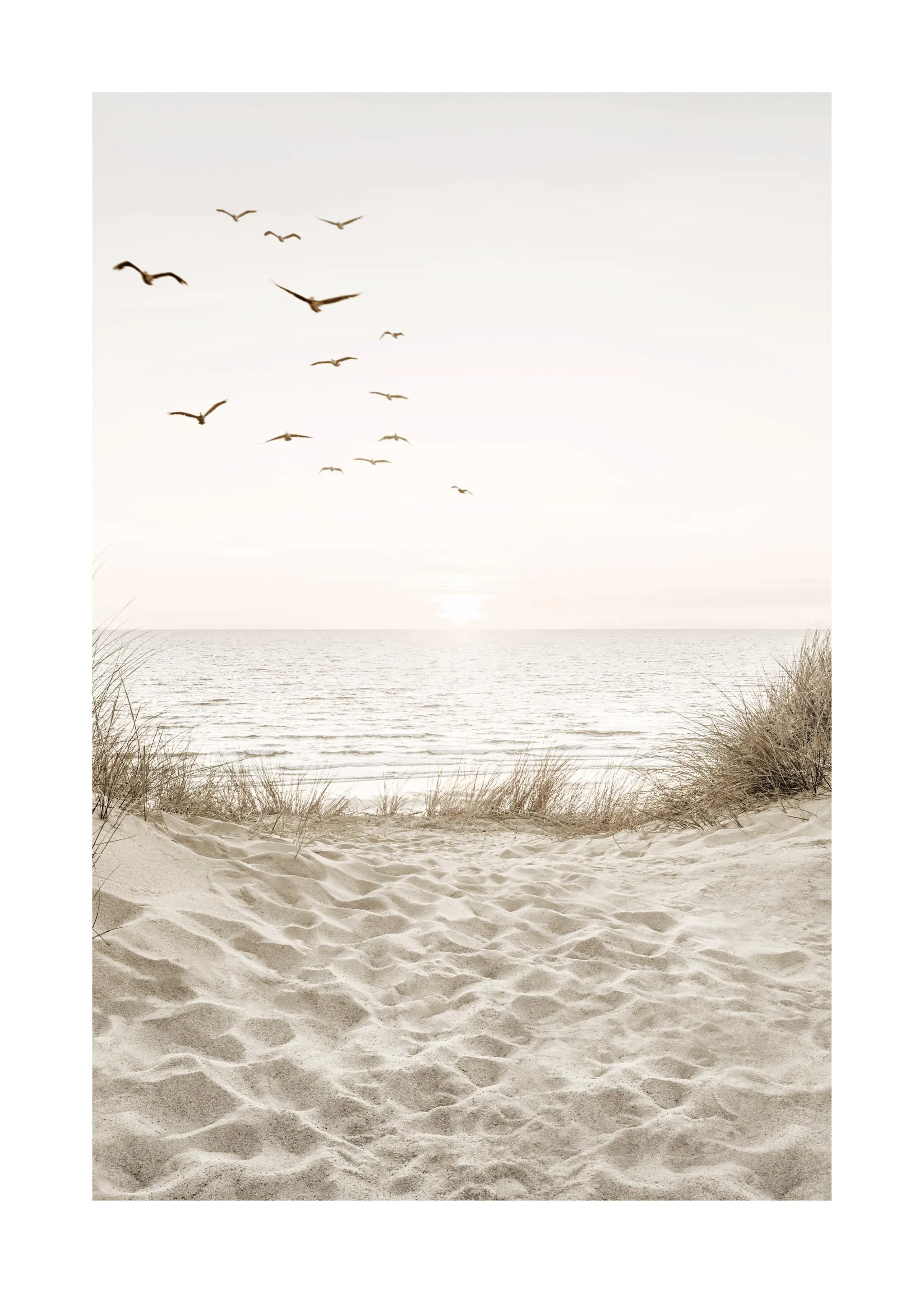 Posters 40x50 cm Online – Buy 40x50 cm Prints