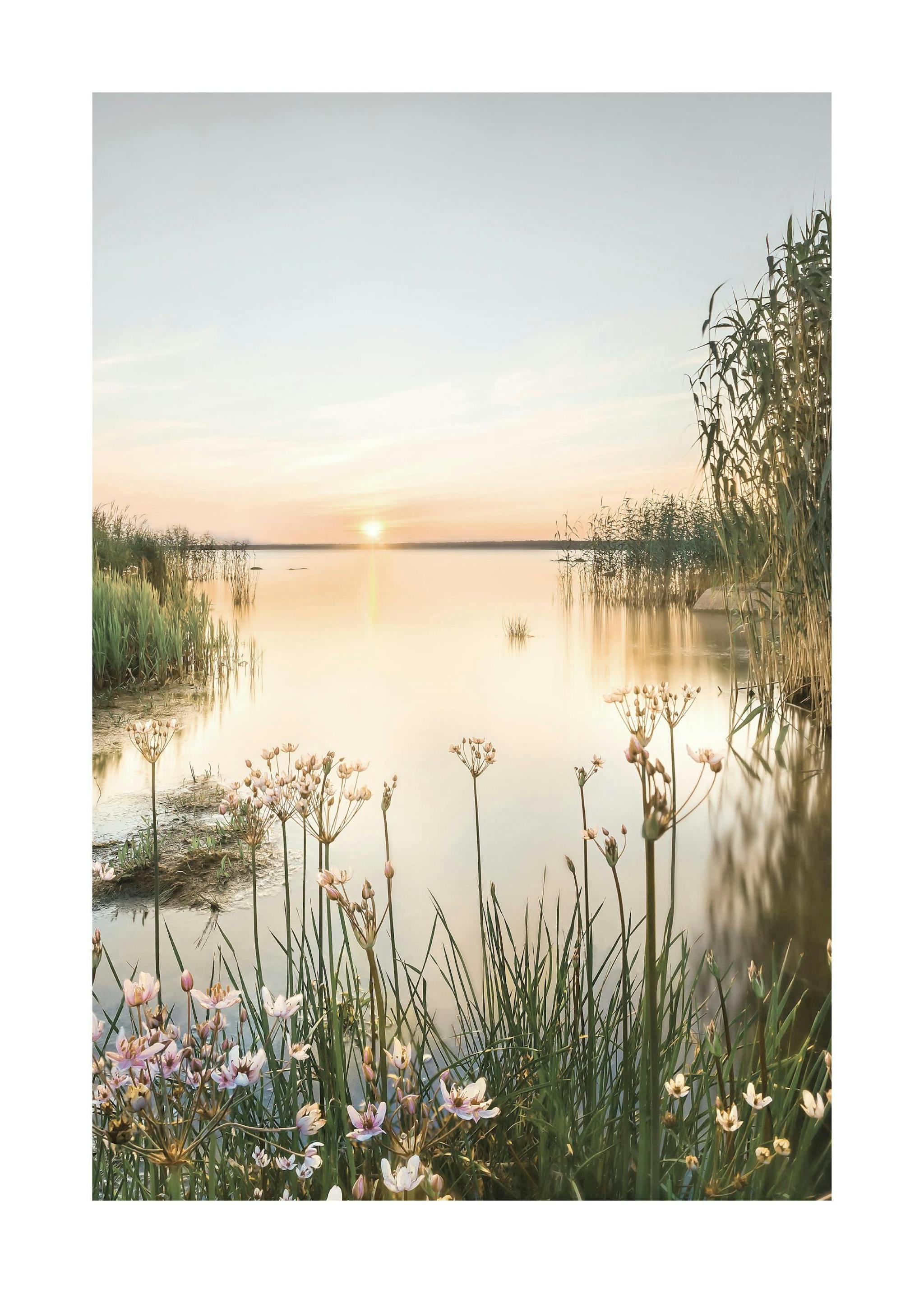 Blooming Rose Poster with Pink Flower Detail | Poster Store CA