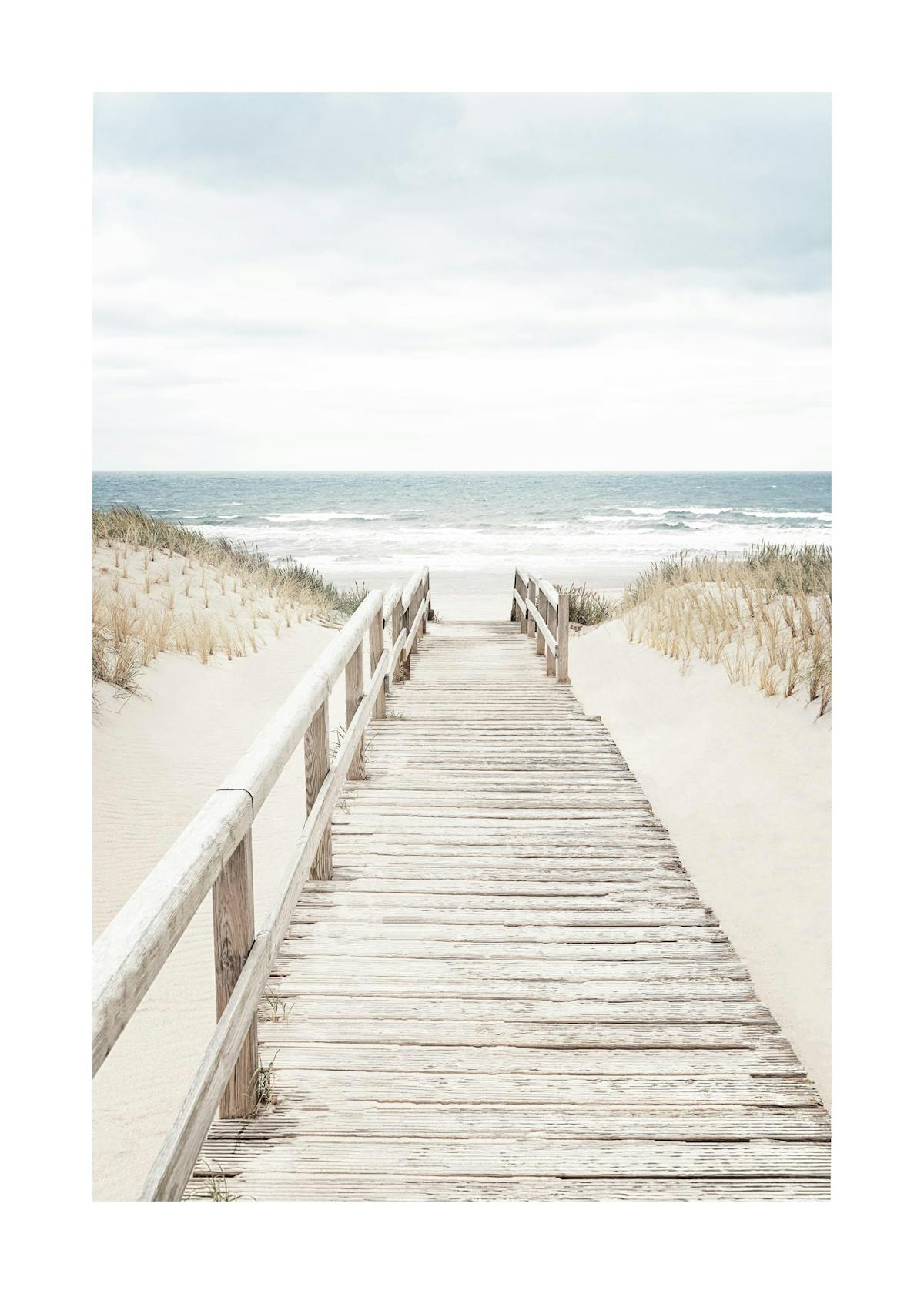 Blue Shells Poster with Sea Illustration | Poster Store CA