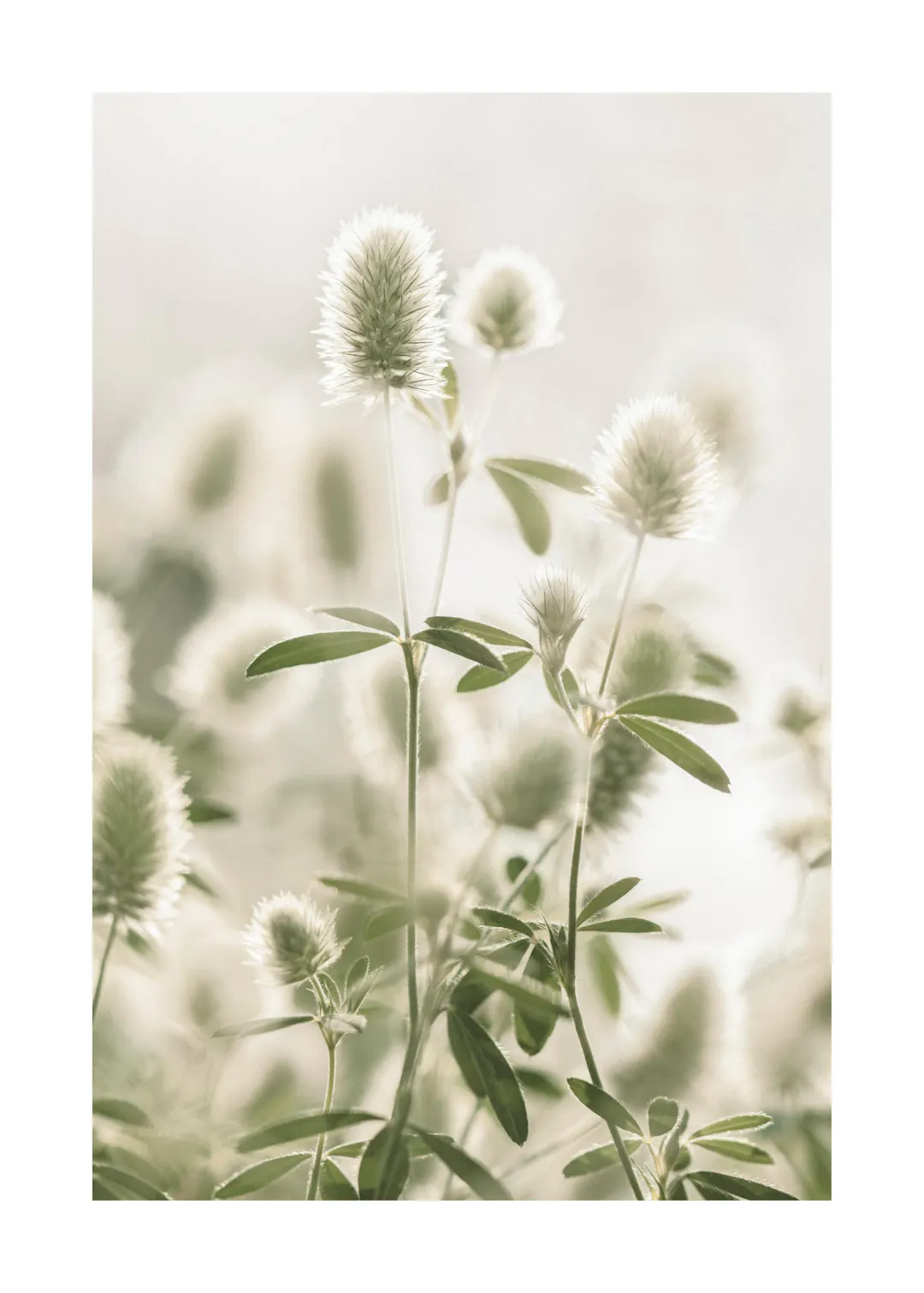 Forest Pathway Poster | Forest Art Painting Serene Pathway | Nature ...