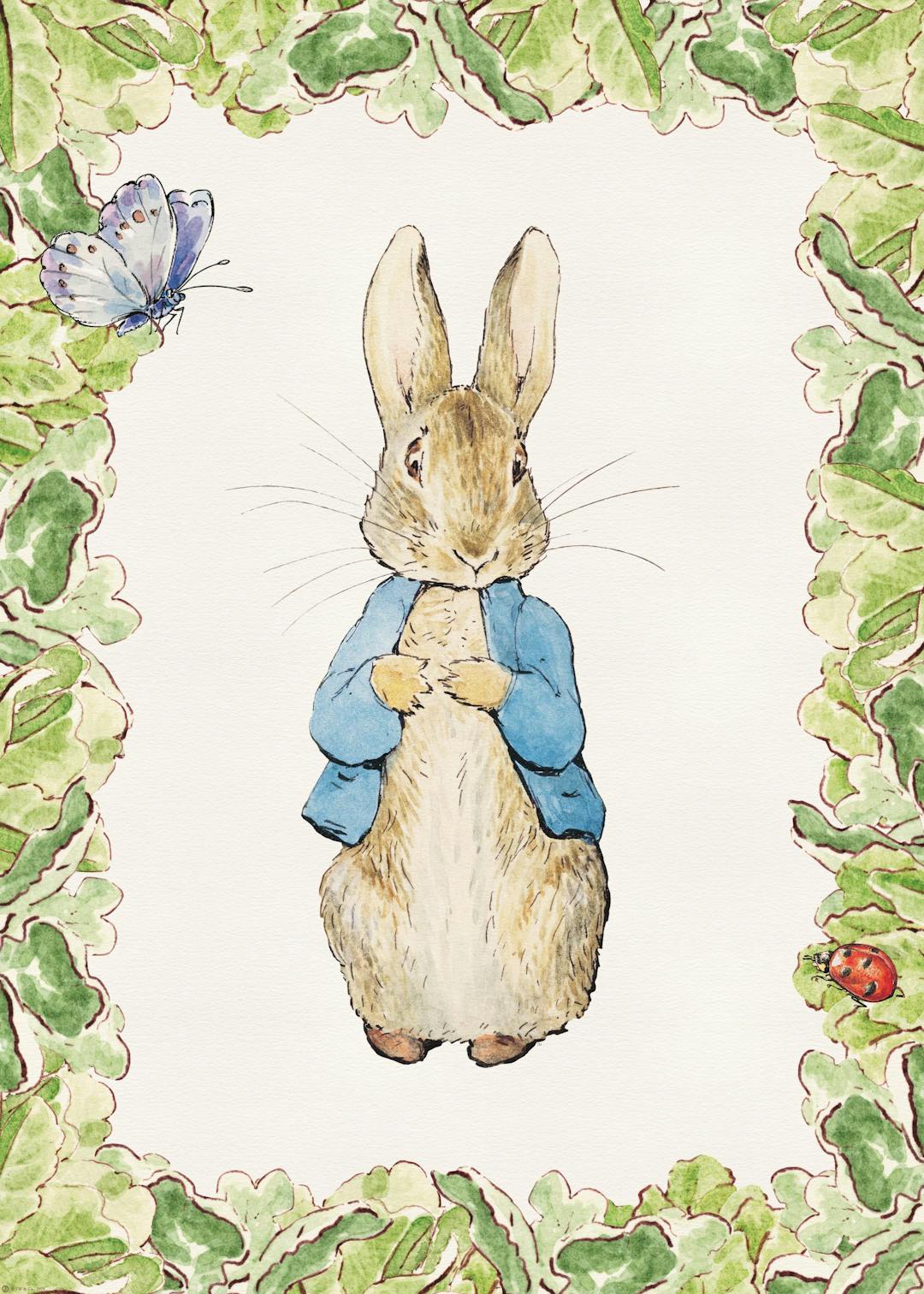 Peter Rabbit Characters Poster | Rabbit Poster White Background ...