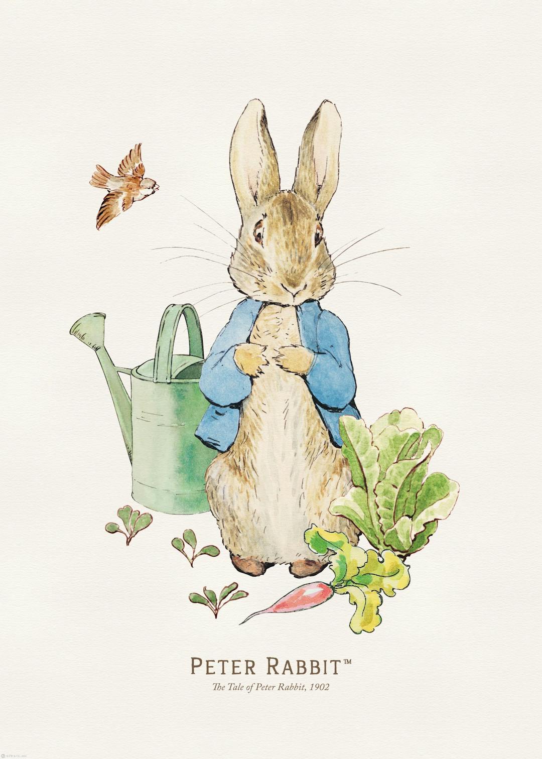 Peter Rabbit Characters Poster | Rabbit Poster White Background ...