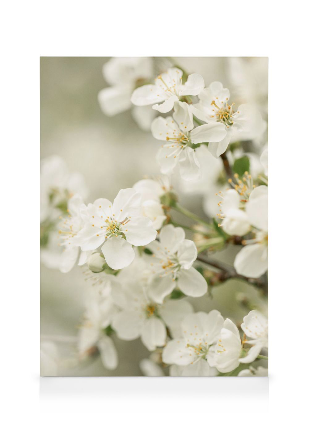 Printemps Fleuri Toile fleurs printanières | Poster Store FR