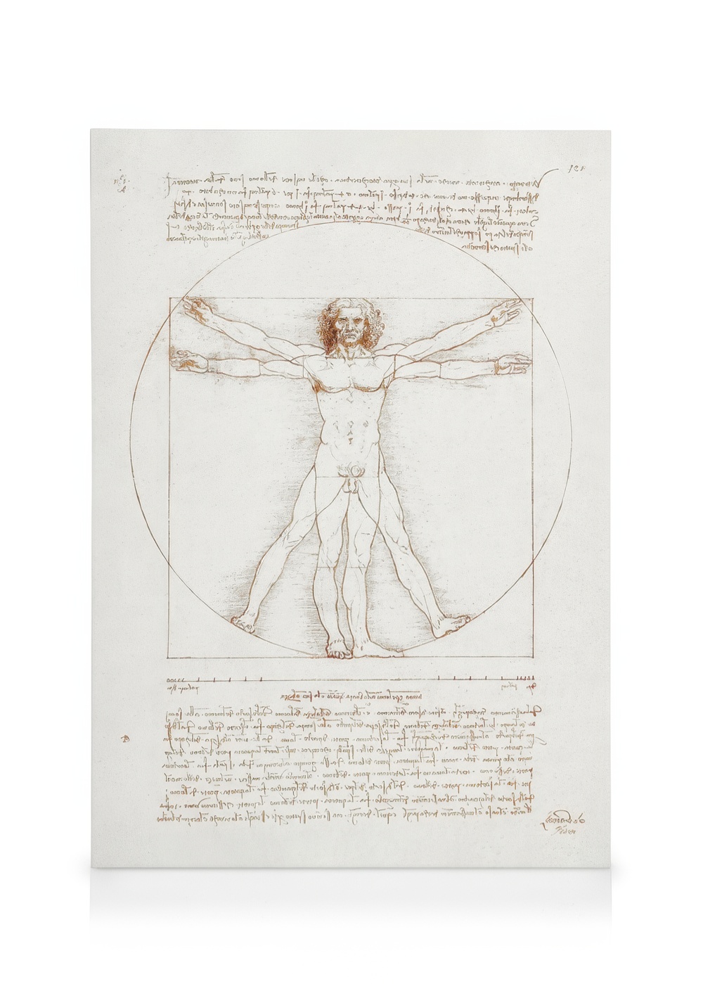 Leonardo Da Vinci - Vitruvian Man Canvas Print
