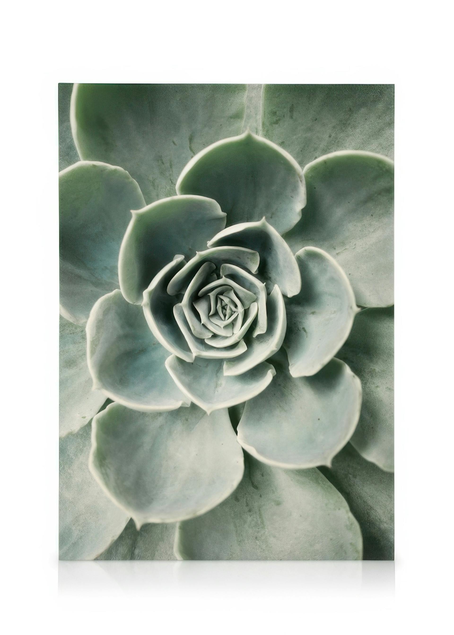 Toiles Murales | Tableaux sur Toile Modernes | Poster Store