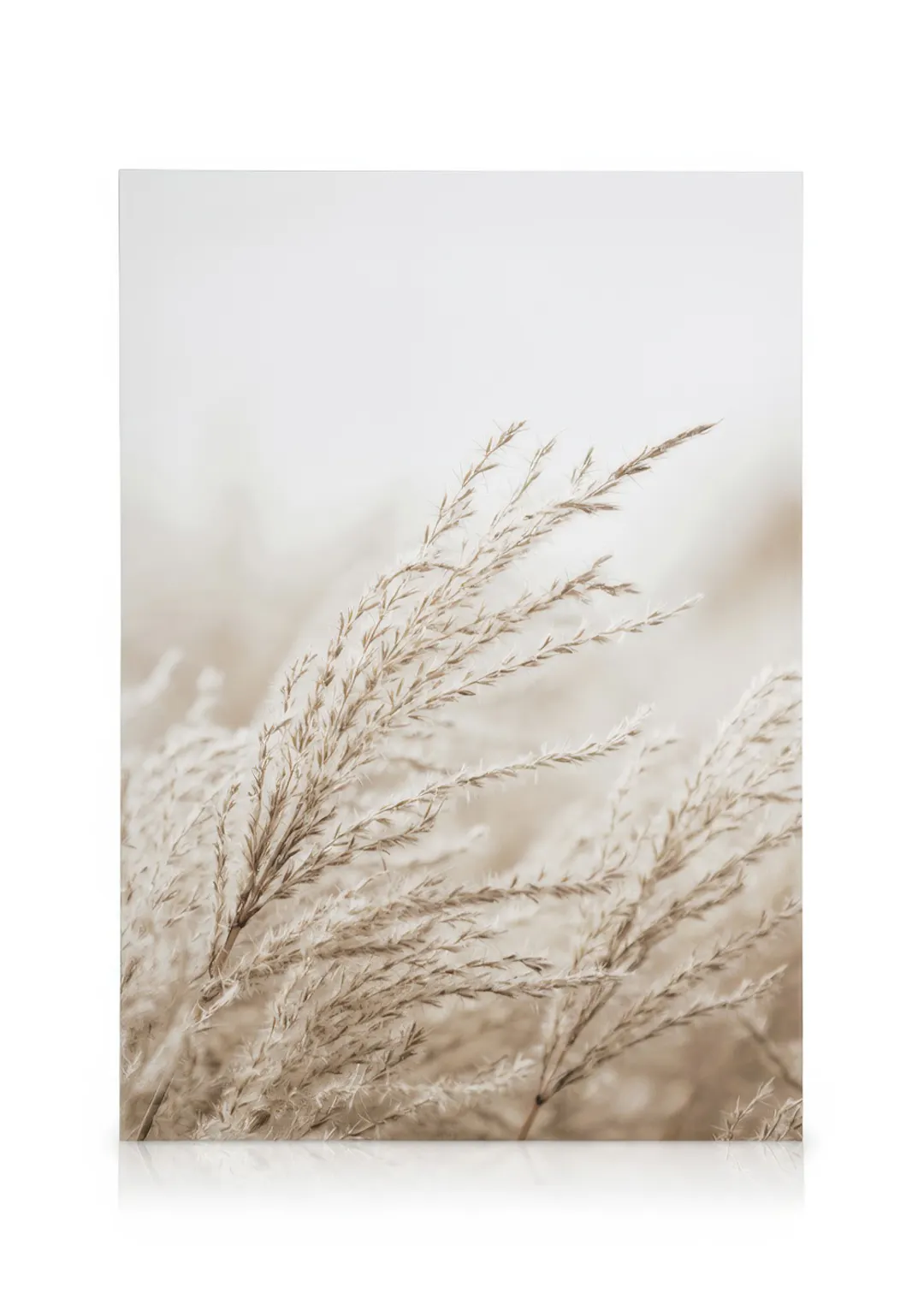 Canvas Art Prints | Canvas Wall Art | Poster Store