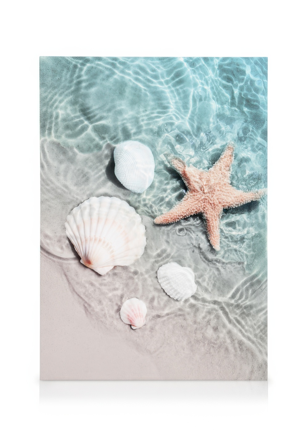 Starfish and Seashell Canvas | Beach Prints Starfish | Poster Store UK