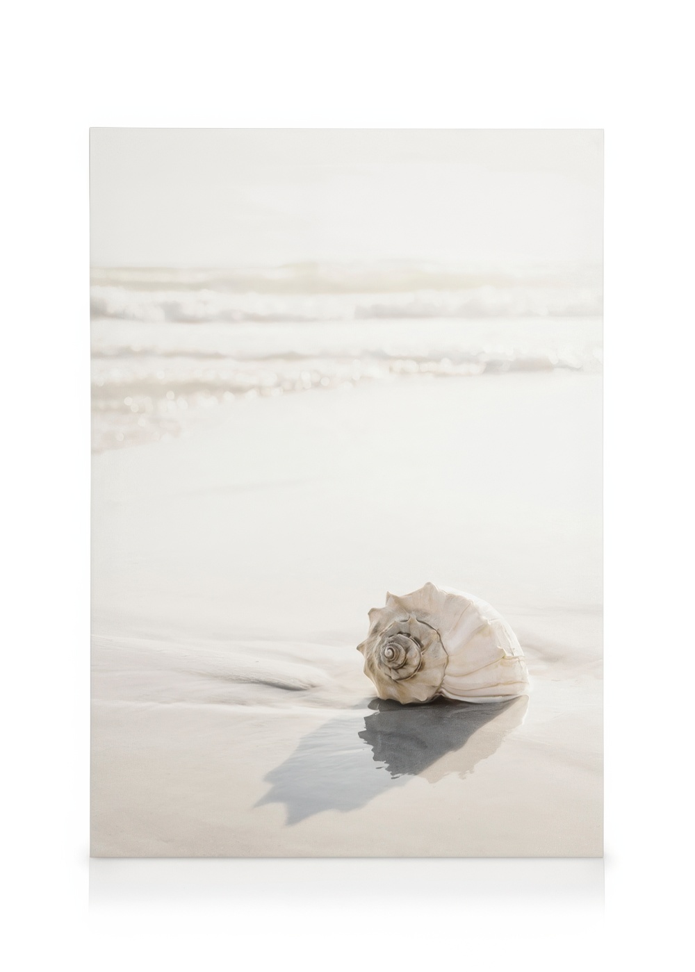 Beach Seashell Canvas | Seashell Canvas Wall Art for Your Home | Poster ...