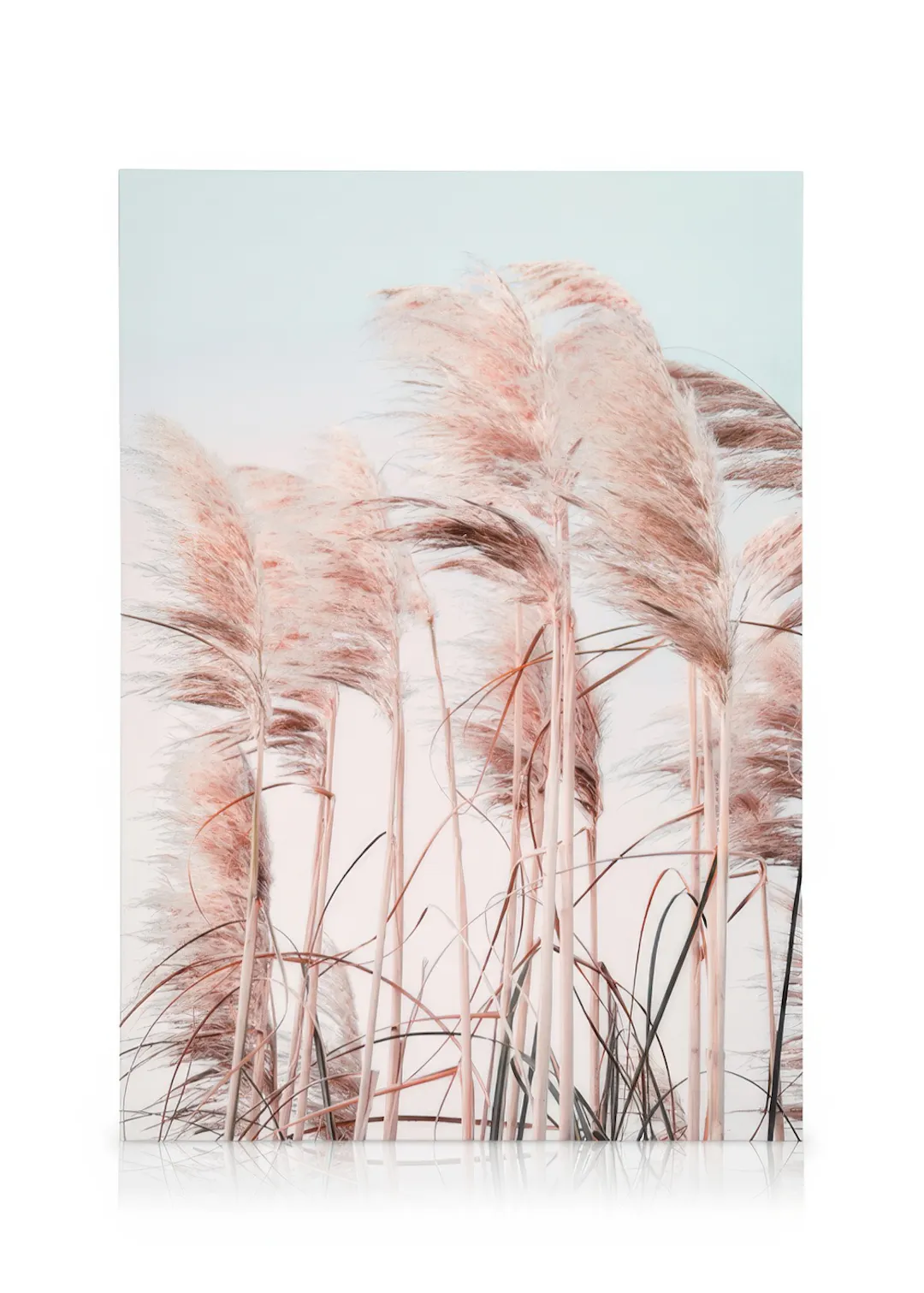 Canvas Art Prints | Canvas Wall Art | Poster Store