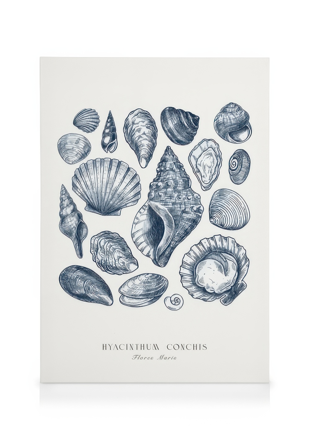 Blue Shells Canvas | Seashell Poster Blue | Poster Store Canada