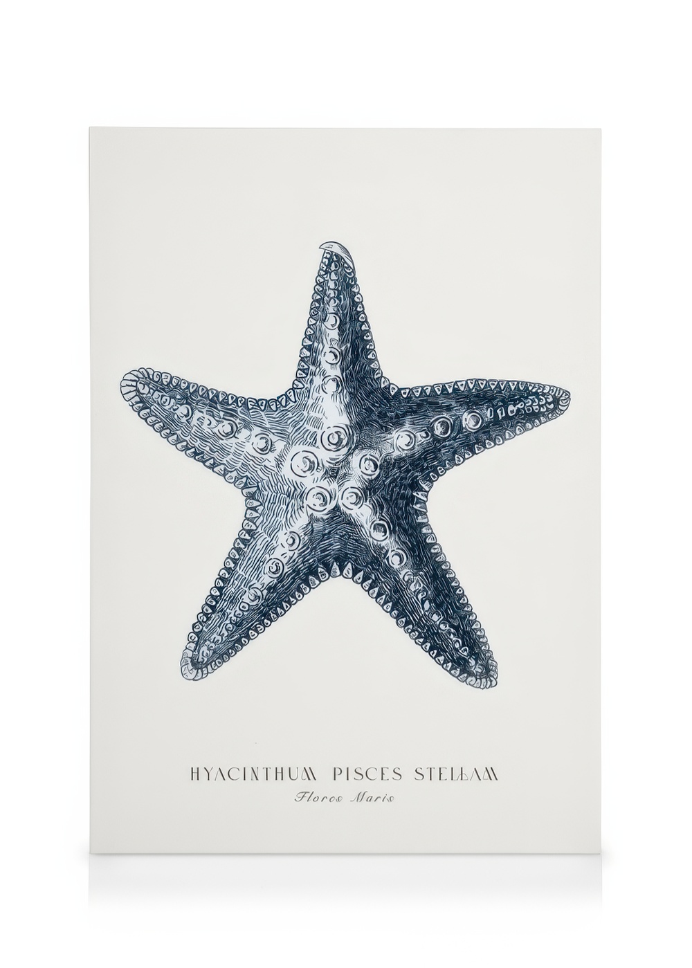 Blue Starfish Canvas | Starfish Canvas | Poster Store USA