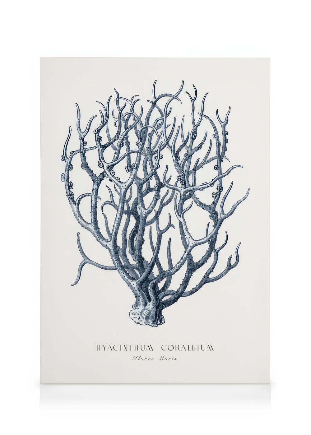 Blue Coral Canvas | Coral Canvas Wall Art Perfect for Your Home ...