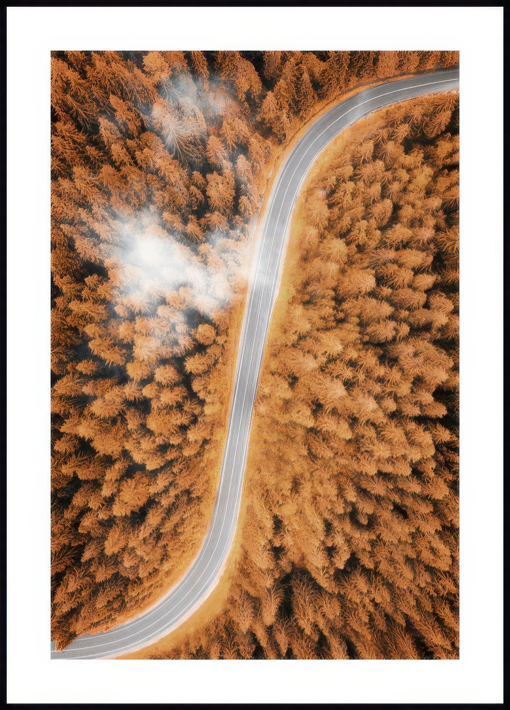 Autumn Aerial View Poster | Autumn Trees Aerial View with Curved Road ...