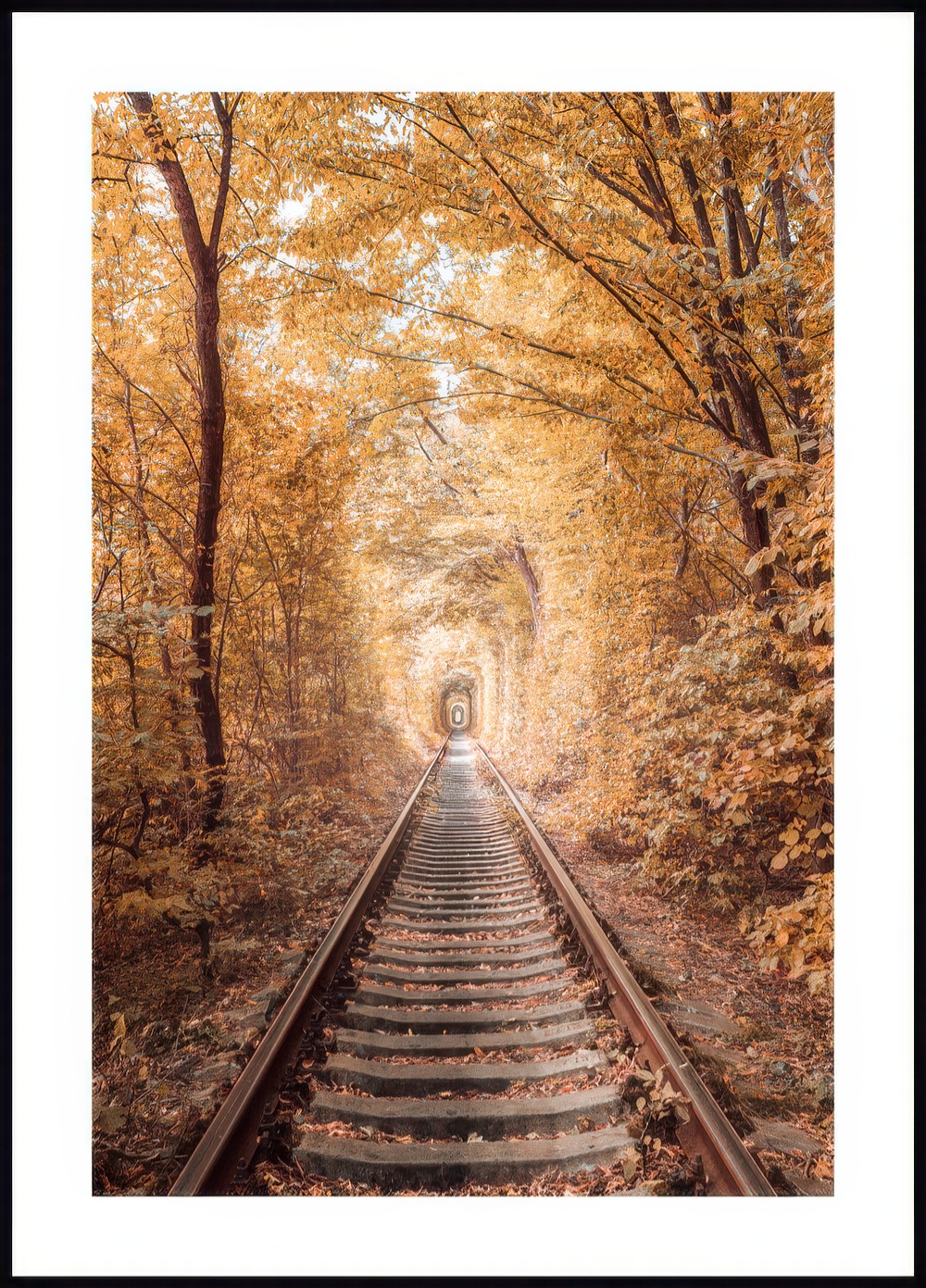 Love Tunnel Poster | Autumn Poster Trees | Poster Store Australia