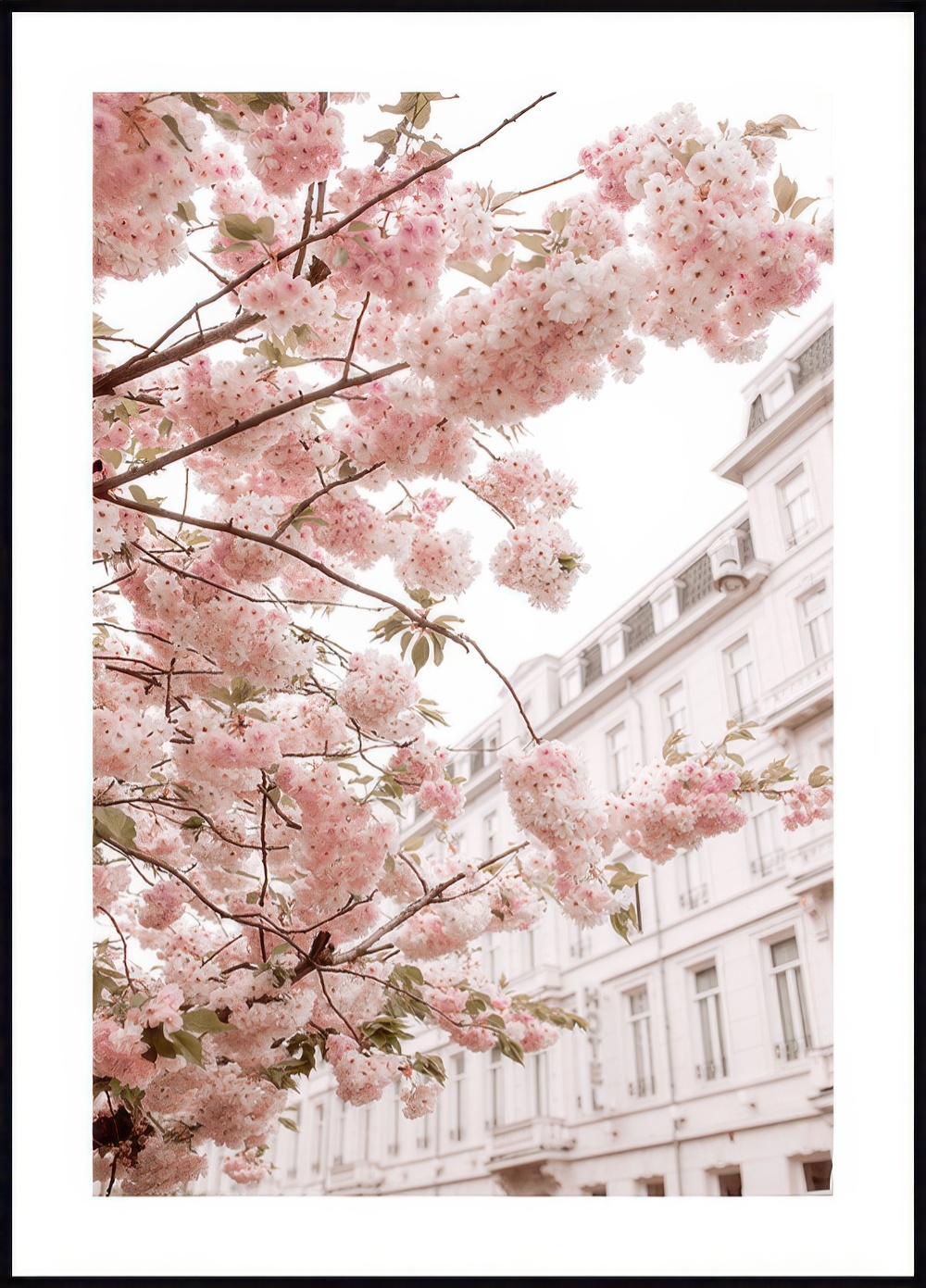 Cherry Branches Poster | Cherry Blossom Wall Art with Pastel Cherry ...