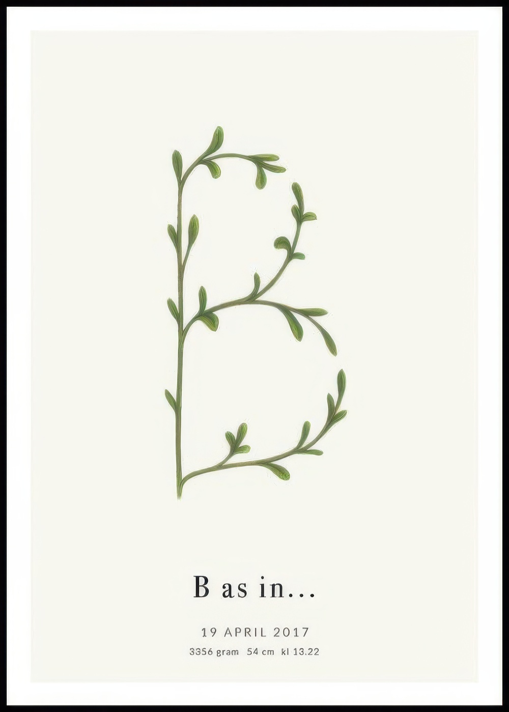 Botanic Letter B Botanical Wall Art Poster | Poster Store CA