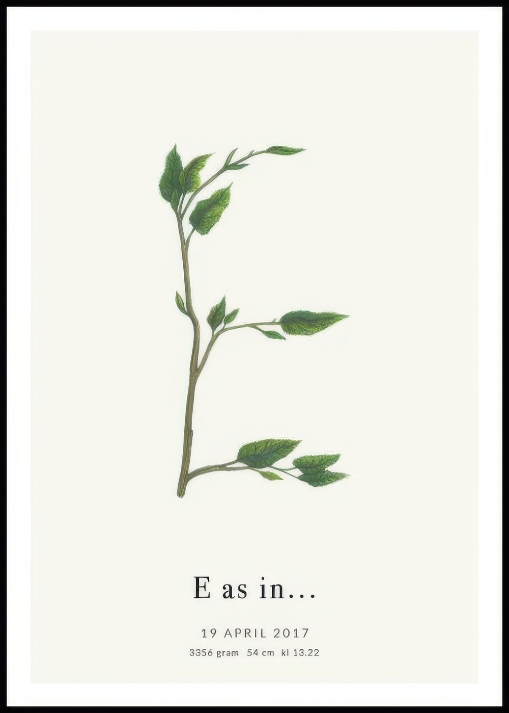 Letra E botánica póster personal botánico | Poster Store US