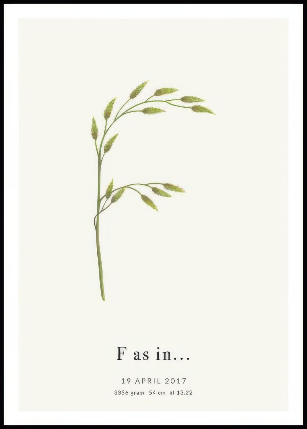 Botanic Letter F Botanical Initial Poster | Poster Store UK