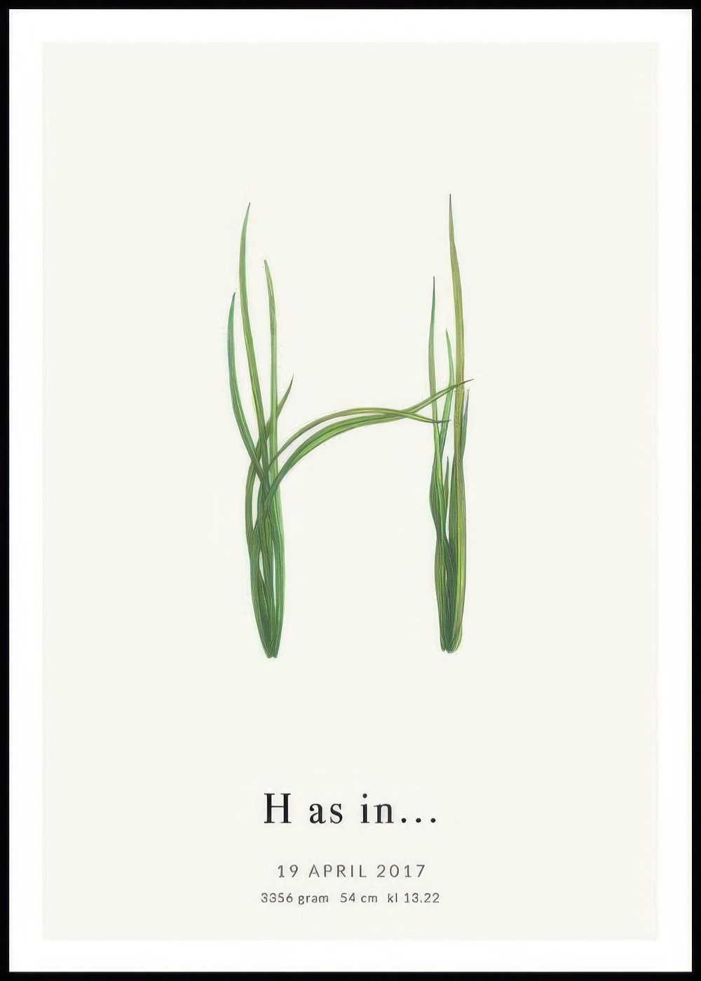Botanic Letter H Botanical Letter Poster | Poster Store AU