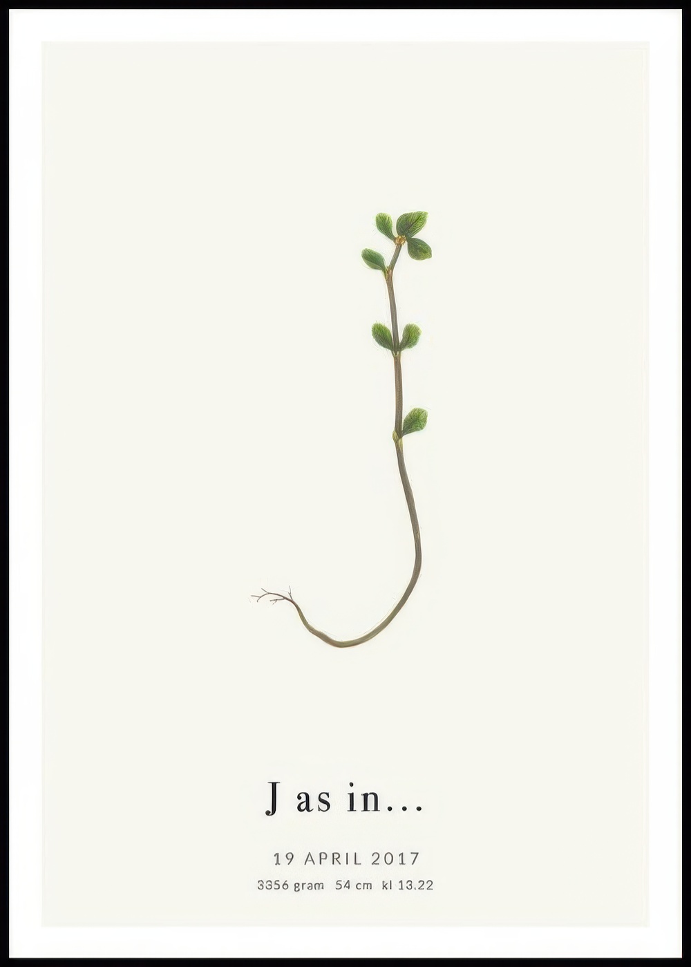 Botanic Letter J Botanical Poster | Poster Store EU