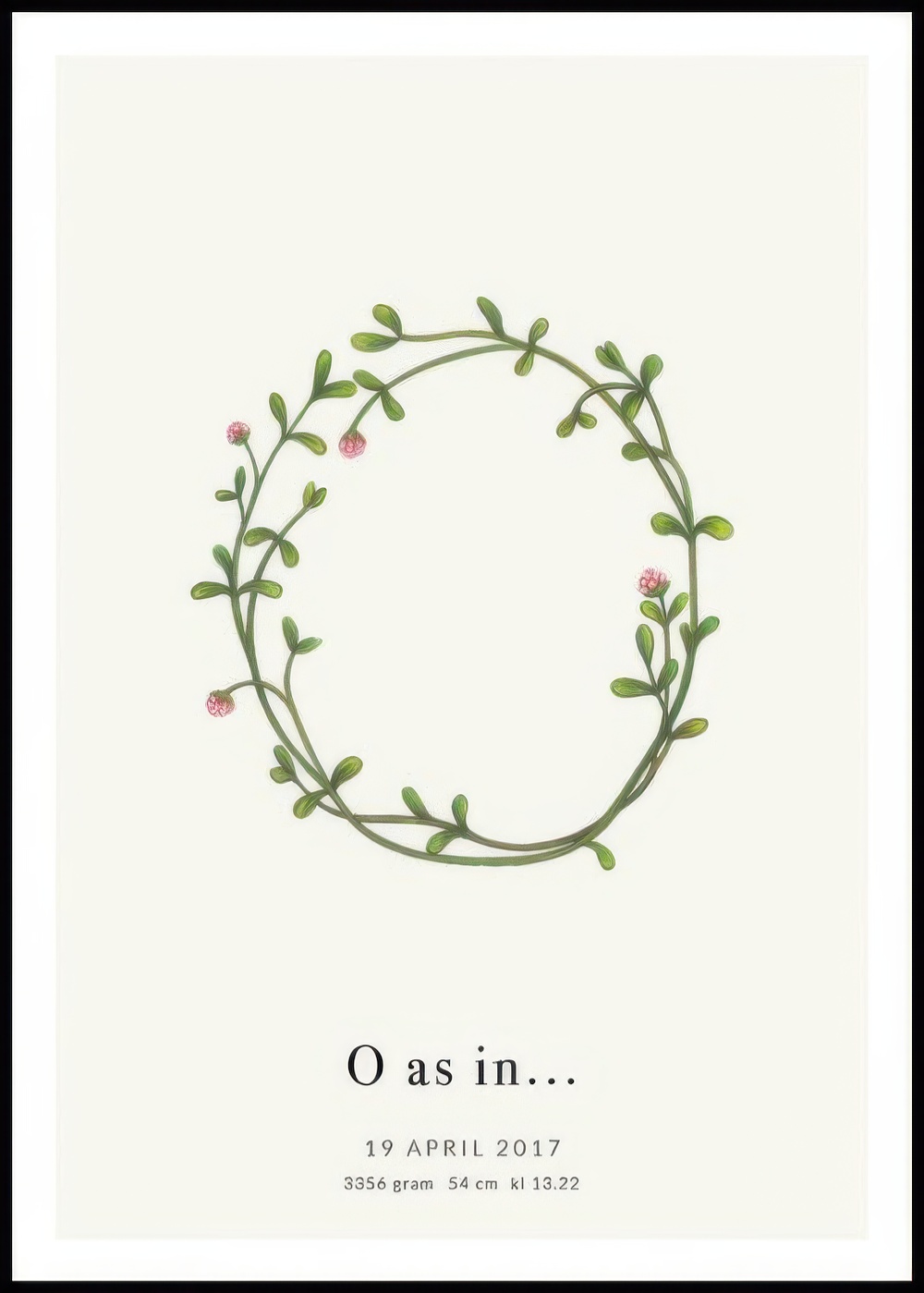 Botanisk Bokstav O Personlig Poster växtillustration | Poster Store SE