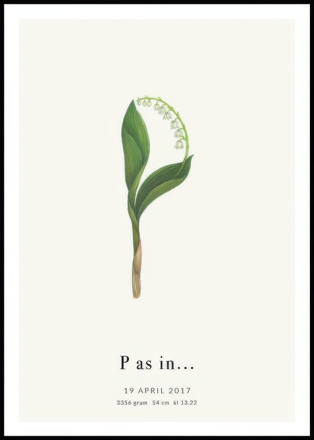Botanic Letter P Lily of the Valley Print Poster | Poster Store US