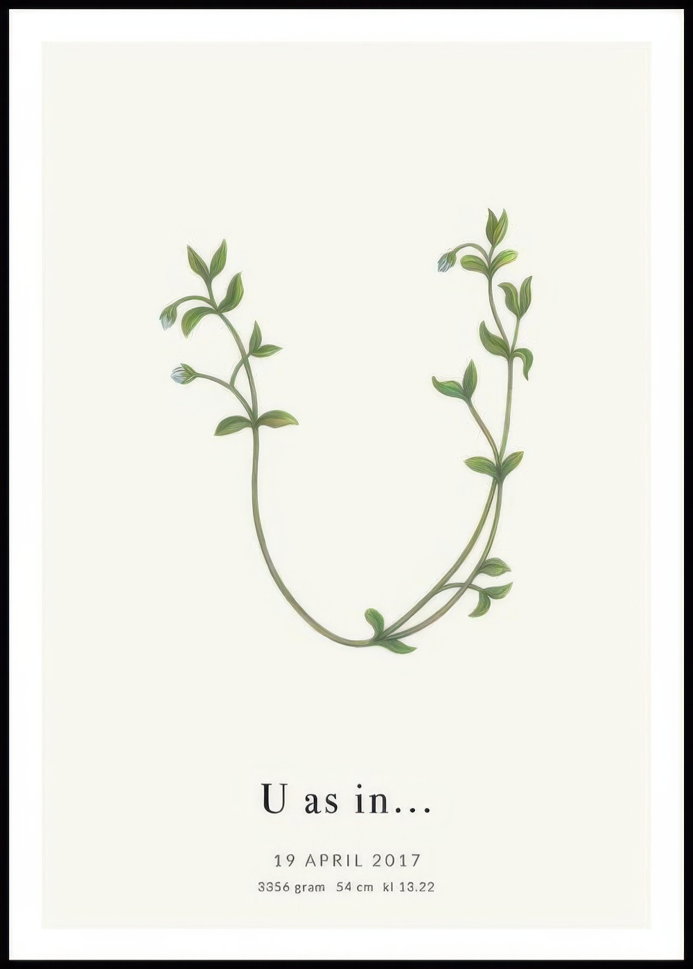 Botanisk Bokstav U Personlig Poster | Poster Store SE