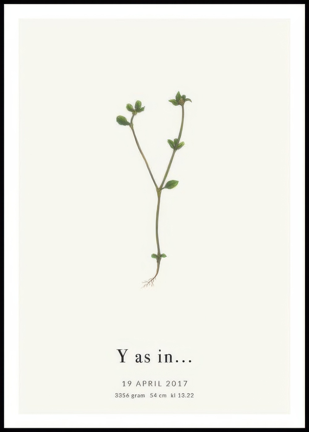 Botanischer Buchstabe Y Poster mit Pflanzen | Poster Store DE