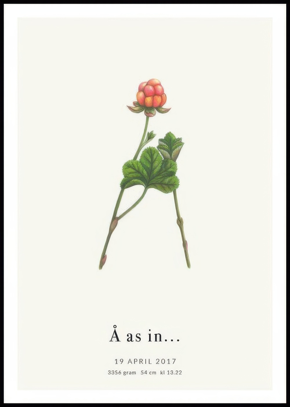 Botanisk Bokstav Å med botanisk illustration | Poster Store SE