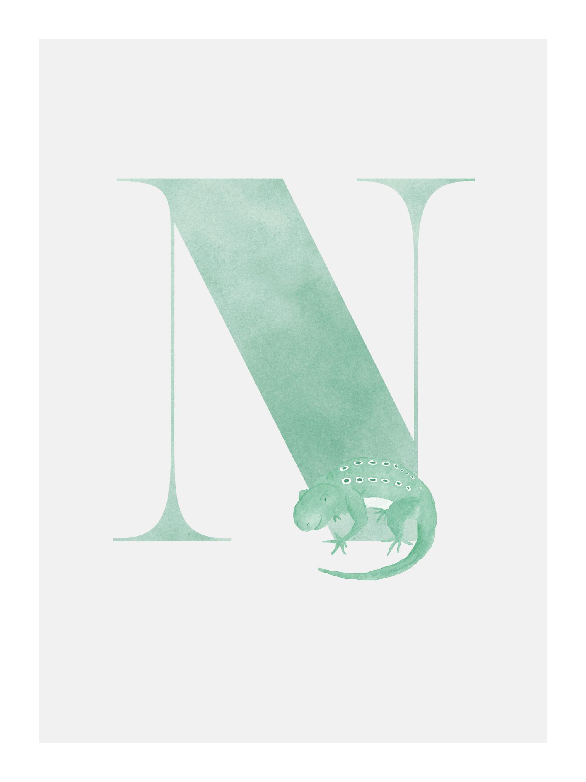 Alphabet N Poster for Kids Room | Poster Store IE