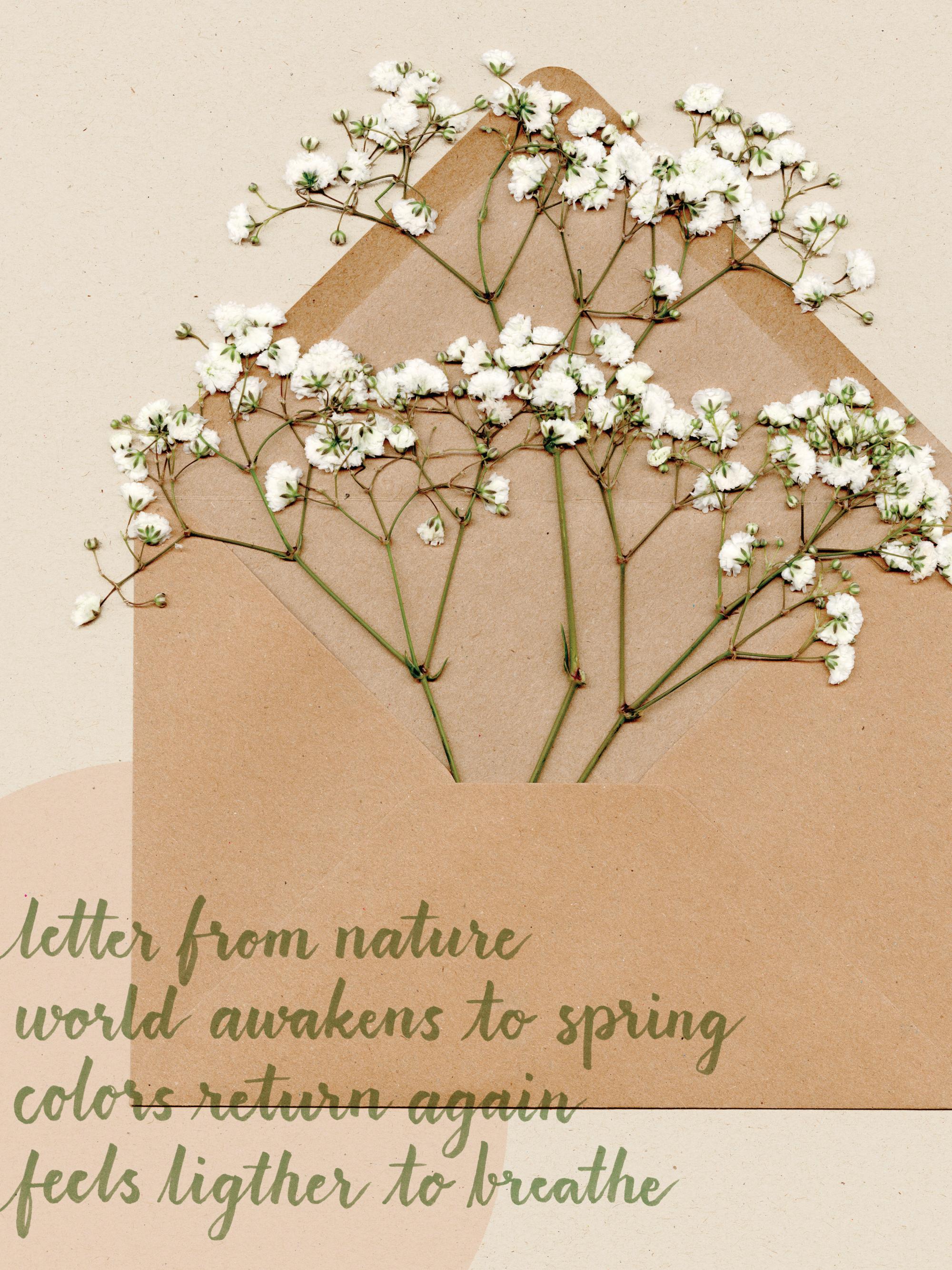 Letter in Bloom Poster with Botanical Art | Poster Store US
