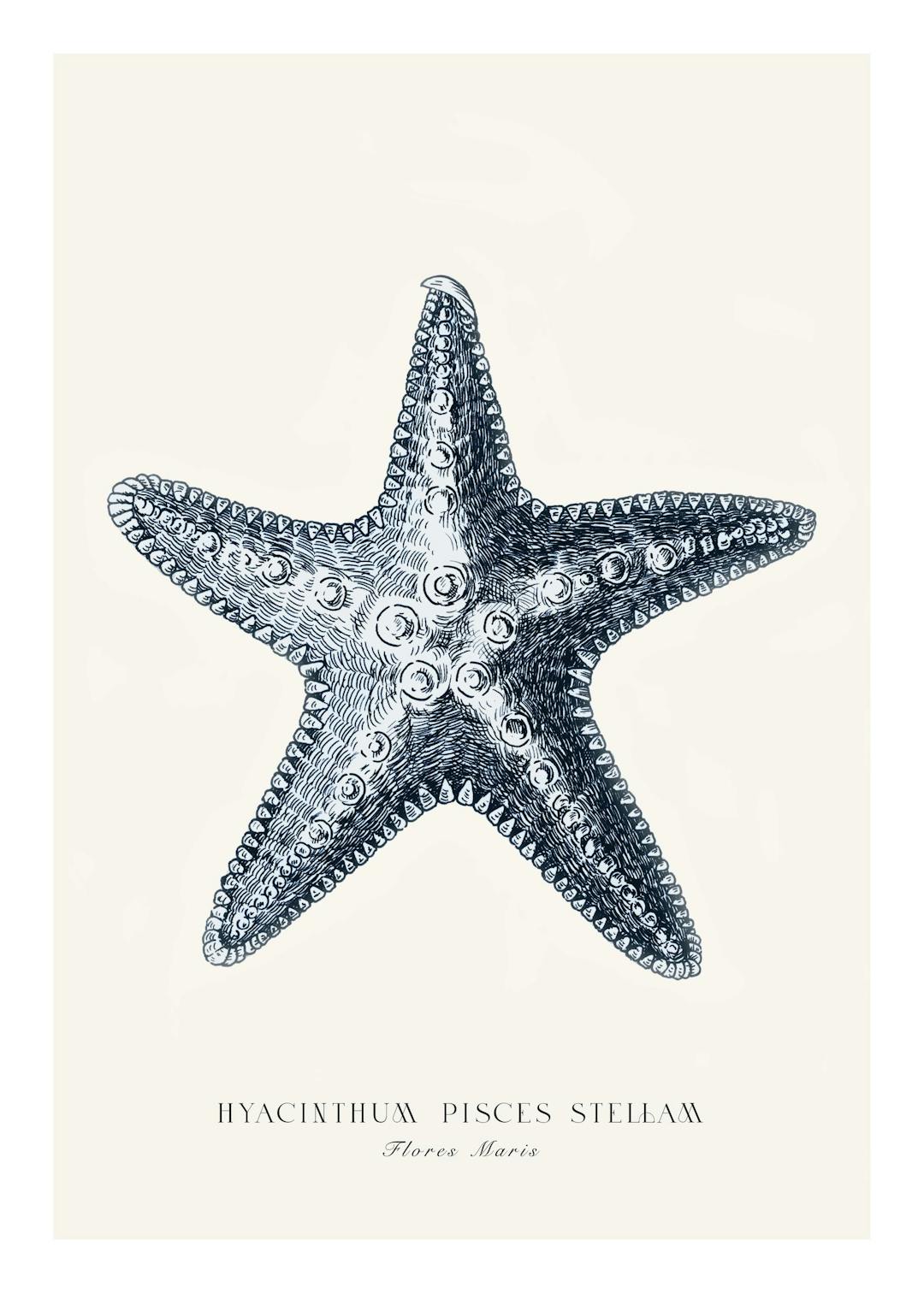 Blue Seashell Poster with Intricate Drawing | Poster Store UK