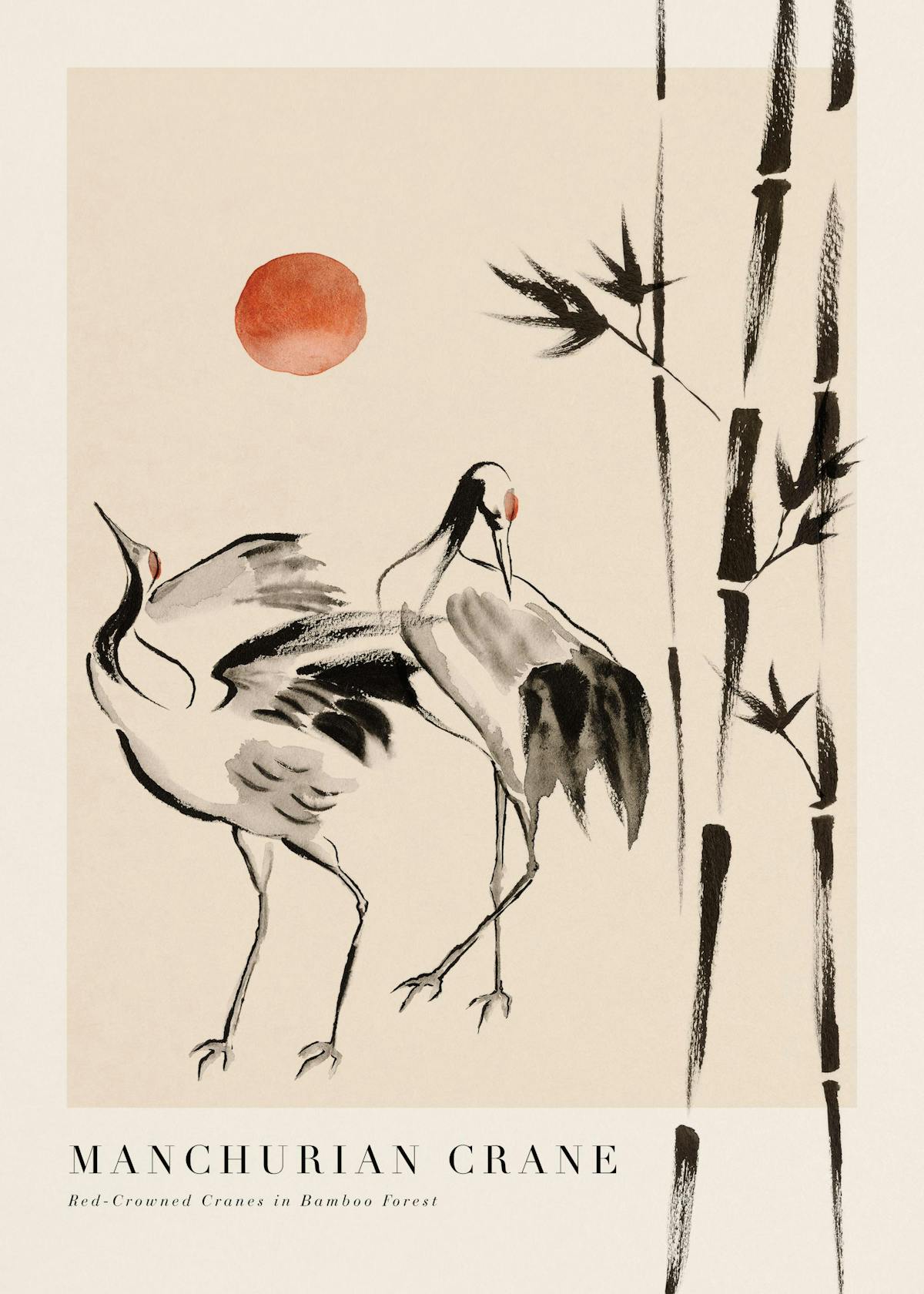 Cranes in the Rainforest Poster, Cranes Illustration | Poster Store CA